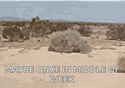 Maybe Once In Middle Of Week Dry Heat GIF | GIFDB.com