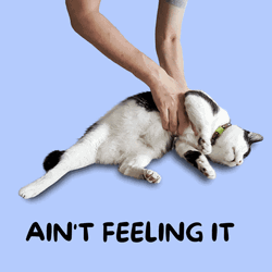 Melting Not Feeling Good GIF | GIFDB.com