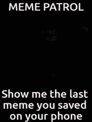Memes Patrol Monitoring GIF | GIFDB.com