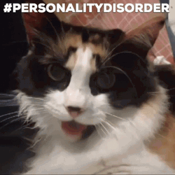 Mental Health Personality Disorder Cat GIF | GIFDB.com