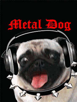 Metal Dog Pug Headbang GIF | GIFDB.com