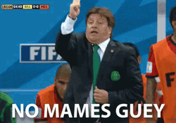 Mexican Football Manager Miguel Herrera No Mames Guey GIF | GIFDB.com