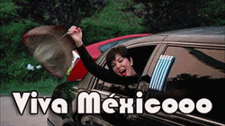 Viva Mexico Kris Jenner GIF | GIFDB.com