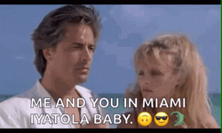 Miami Me And You In Miami GIF | GIFDB.com