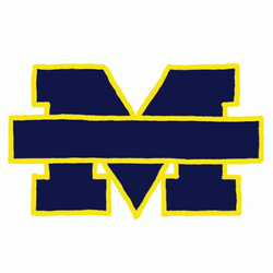 Michigan Football Go Blue Go Vote GIF | GIFDB.com