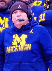 Michigan Wolverines Disappointed Coach GIF | GIFDB.com