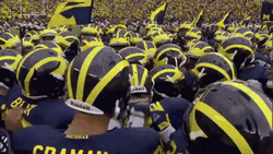 Michigan Wolverines Jumping In Unison GIF | GIFDB.com
