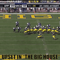 Michigan Wolverines Upset In The Big House GIF | GIFDB.com