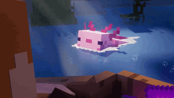 Minecraft Axolotl GIFs | GIFDB.com