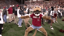 Minshew Tried Mascot Costume On GIF | GIFDB.com