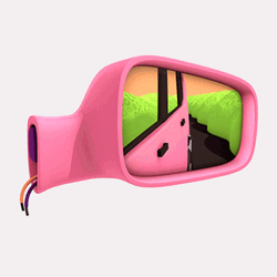 Mirror 450 X 450 Gif GIF | GIFDB.com