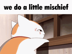 Mischievous We Do A Little Mischief Cat GIF | GIFDB.com