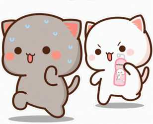 Mochi Cat Running Being Chased GIF | GIFDB.com