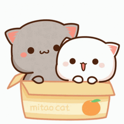 Mochi Cats Fist Bump Love GIF | GIFDB.com