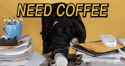 Monday Motivation Need Coffee GIF | GIFDB.com