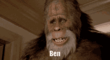 Monkey Calling Ben GIF | GIFDB.com