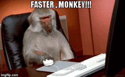 Monkey Computer Faster Monkey Fast Click GIF | GIFDB.com