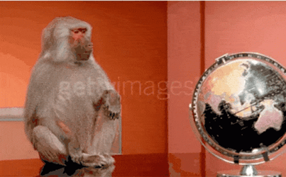 Monkey Computer Globe Thrown Away GIF | GIFDB.com