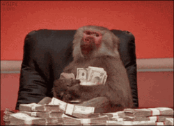 Monkey Holding Funny Money GIF | GIFDB.com