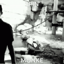Monkey Spinning Chaos GIF | GIFDB.com
