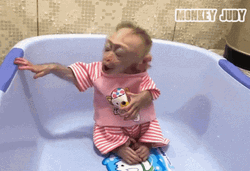 Monkey Swimming In A Pink Dress GIF | GIFDB.com