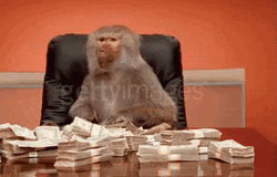 Monkey Throwing Funny Money GIF | GIFDB.com