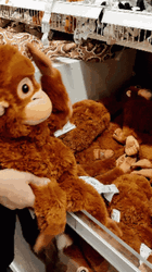Monkey Toy Swaying Arms Meme GIF | GIFDB.com