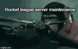 Monkey Typing Work Double Time GIF | GIFDB.com