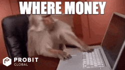 No Money Gif No Pay GIFs Find & Share On GIPHY