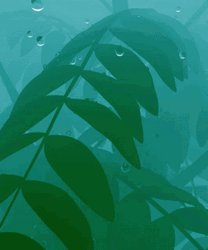 Monsoon Rain Falling In Forest GIF | GIFDB.com