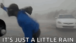 Monsoon Weather Man Blown By Wind Meme GIF | GIFDB.com