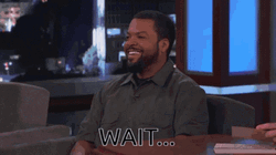 Mood Change Hold Up Wait A Minute GIF | GIFDB.com