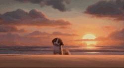 Mort Shark Attack GIF | GIFDB.com