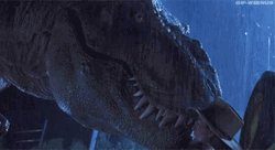 Mosasaurus Kisses Forehead GIF | GIFDB.com