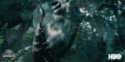 Mosasaurus Raptors Beginners GIF | GIFDB.com
