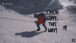 Mountain Climbers Guys This Way GIF | GIFDB.com