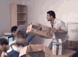 Moving Day Palmashow GIF | GIFDB.com