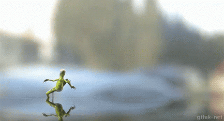 Moving Water Frog Walking GIF | GIFDB.com