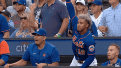 Mr Met Shouting Players GIF | GIFDB.com