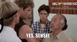 Mr Miyagi Karate Kid Yes Sensei GIF | GIFDB.com