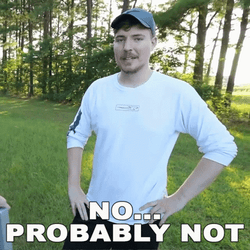 Mrbeast Meme No Probably Not GIF | GIFDB.com