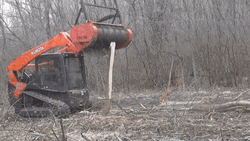 Mulcher Grinding Standing Trees To Make Mulch GIF | GIFDB.com