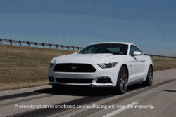 Mustang Ford Professional Driver GIF | GIFDB.com