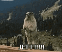 My Name Is Jeff Goundhog Screaming Meme GIF | GIFDB.com
