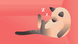 Nap Snoring Cat Sticker GIF | GIFDB.com