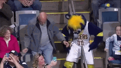 Nba Pacers Mascot Dancing GIF | GIFDB.com