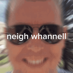 Neigh Whannell Photo With Horse GIF | GIFDB.com