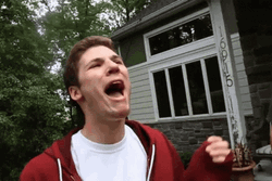 Nelson Haha 498 X 331 Gif GIF | GIFDB.com