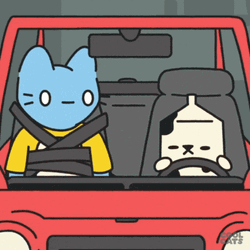 Nervous Blue Cat Safety First GIF | GIFDB.com
