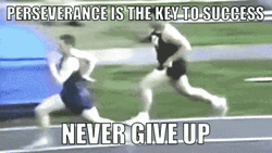 Never Give Up Perseverance For Sucess GIF | GIFDB.com